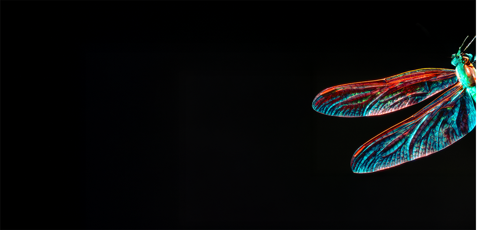 Unpacking the operating model shifts for financial services leaders ...