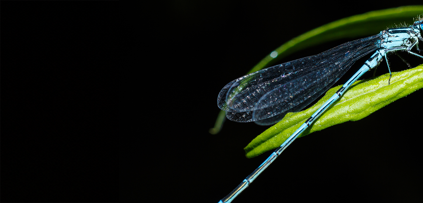 Half of US leaders are stuck in ‘transformation limbo’ - here’s how to ...