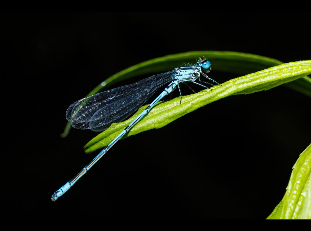 Half of US leaders are stuck in ‘transformation limbo’ - here’s how to ...